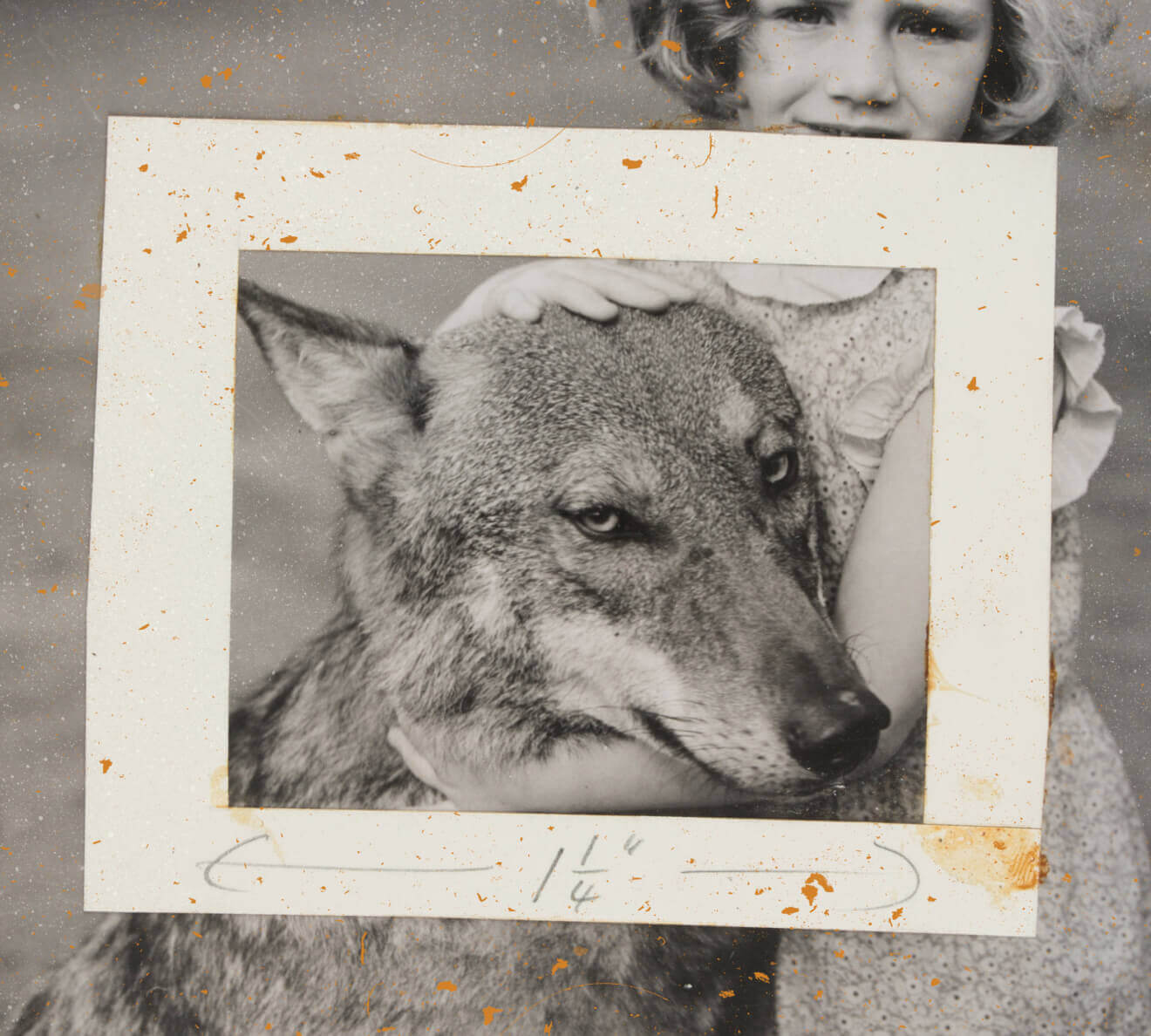 Poor Charlie’s Almanack: The Essential Wit and Wisdom of Charles T. Munger