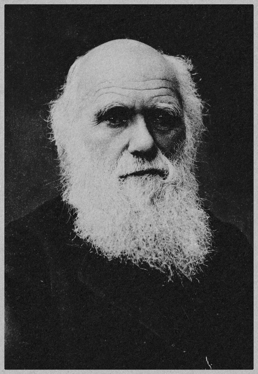 Poor Charlie’s Almanack: The Essential Wit and Wisdom of Charles T. Munger