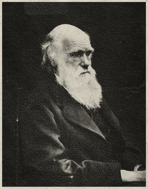 Poor Charlie’s Almanack: The Essential Wit and Wisdom of Charles T. Munger